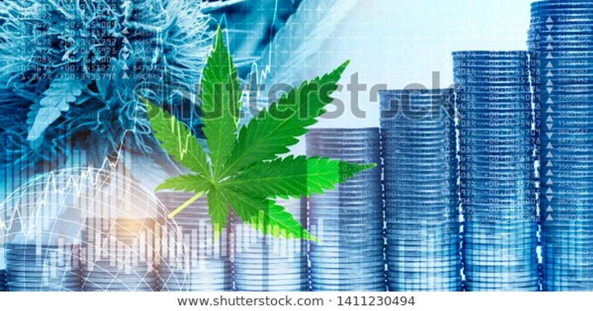 CBD Stocks: Everything You Need to Know