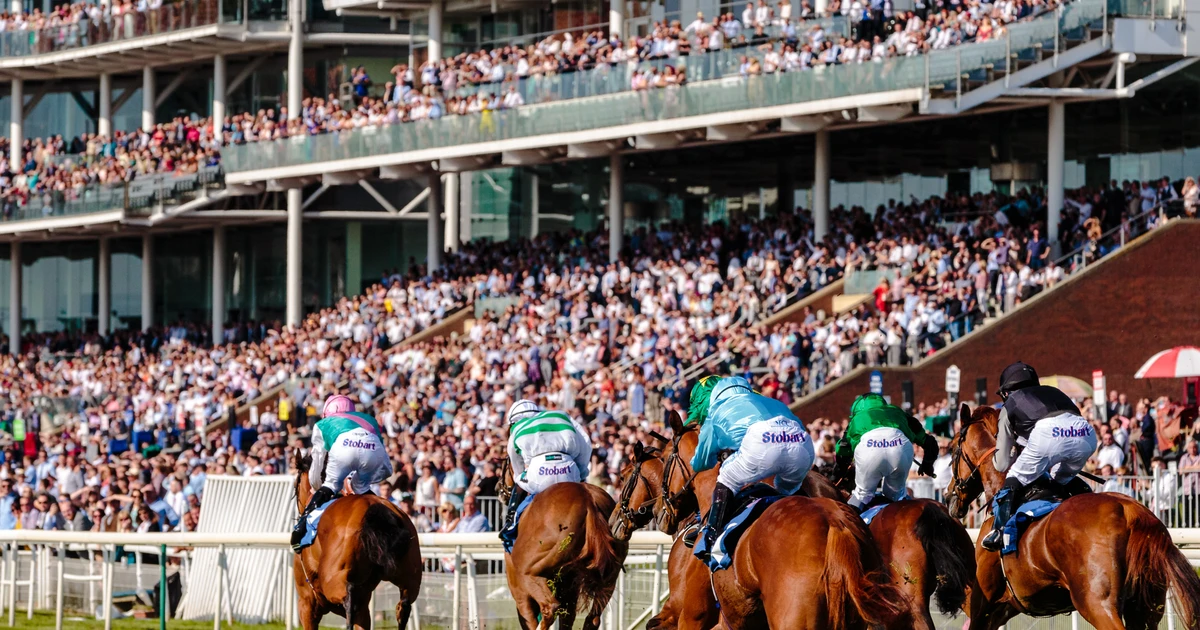 Local Sports Betting Places in Washington, DC