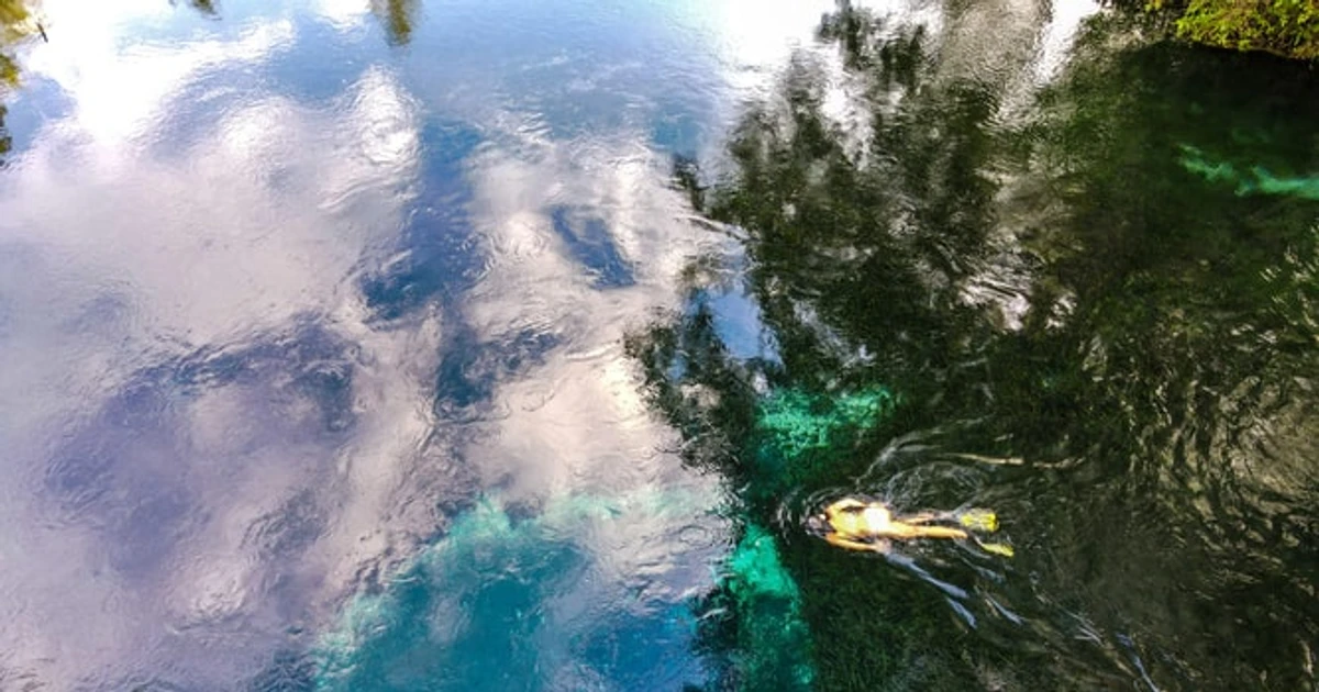Learn About Florida's Springs