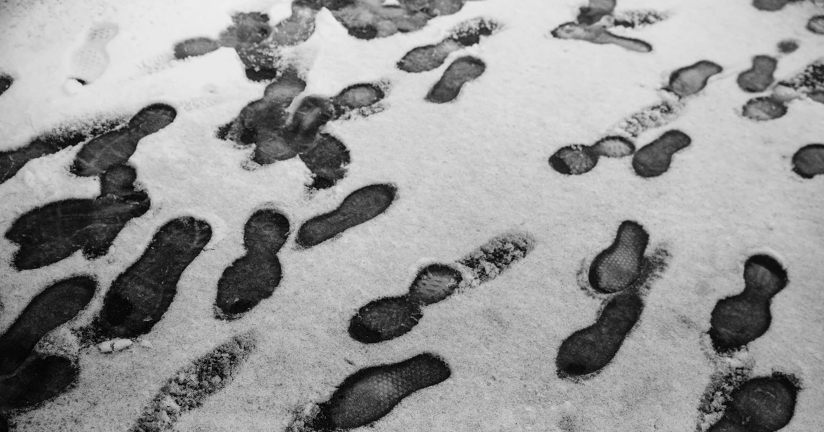 Five sustainable ways to decrease your carbon footprint