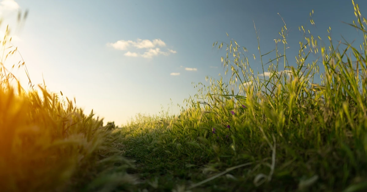 222 Angel Number Meaning - Divine Blessings