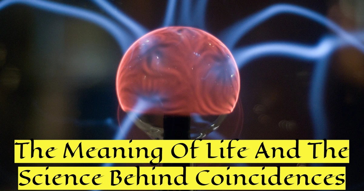 The Meaning Of Life And The Science Behind Coincidences Represent Nature