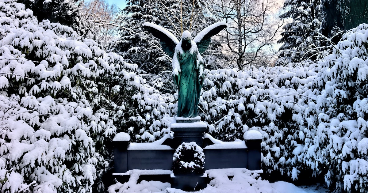 Divine Angel Numbers - Why Am I Seeing Angel Numbers? And What Are ...