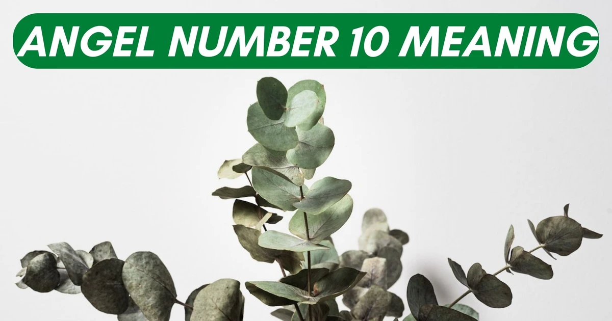 Angel Number 7 Meaning - Symbolism And Spiritual Significance