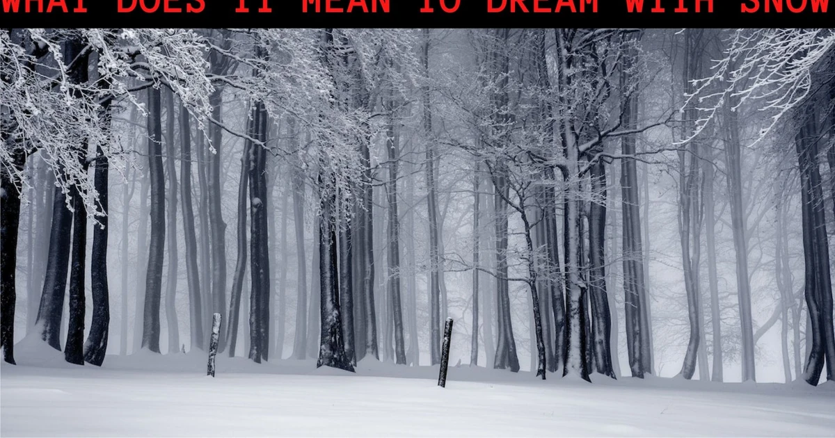 What Does It Mean To Dream With Snow? Signifies Progress, Happiness ...