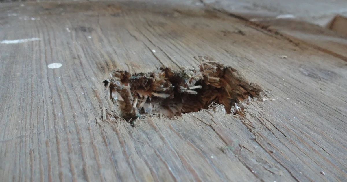 Dream About Holes In The Floor - Indicates Low Self Esteem
