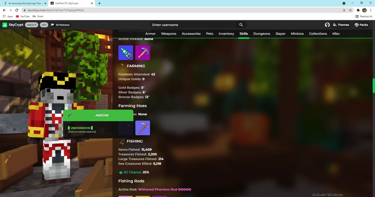 Skycrypt - Share Your Hypixel Skyblock Profiles With Anyone Using This Tool