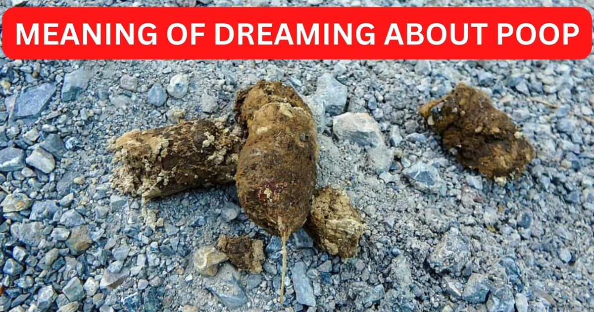 Meaning Of Dreaming About Poop - A Sign Of Good Fortune And Prosperity