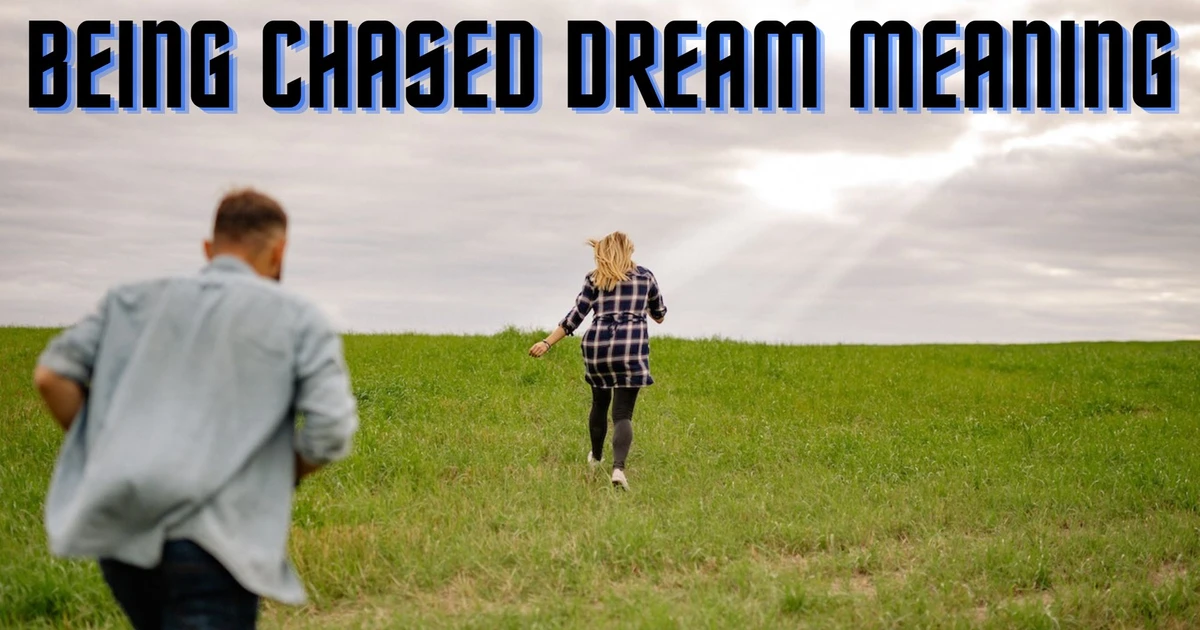 Being Chased Dream Meaning - Signify Pursuing A Goal