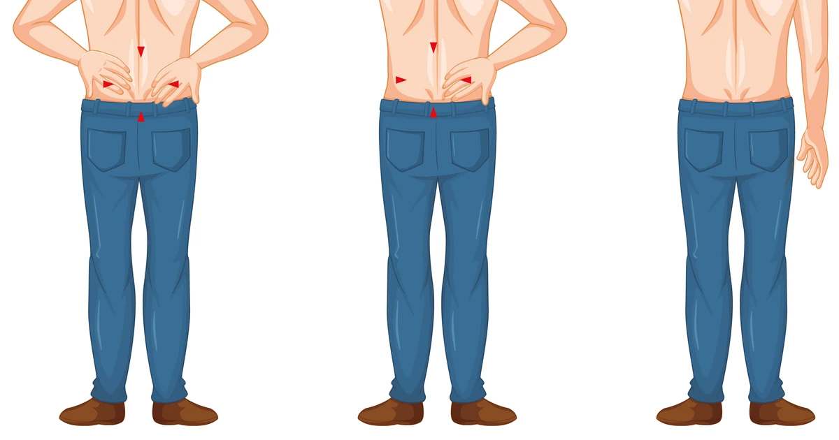 Traumatic Spinal Cord Injury - Overview Of Its Mechanism And Modeling ...