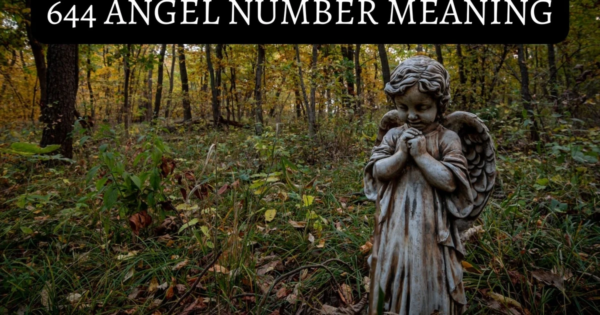 644 Angel Number Meaning - A Sign Of Hope And A Warning