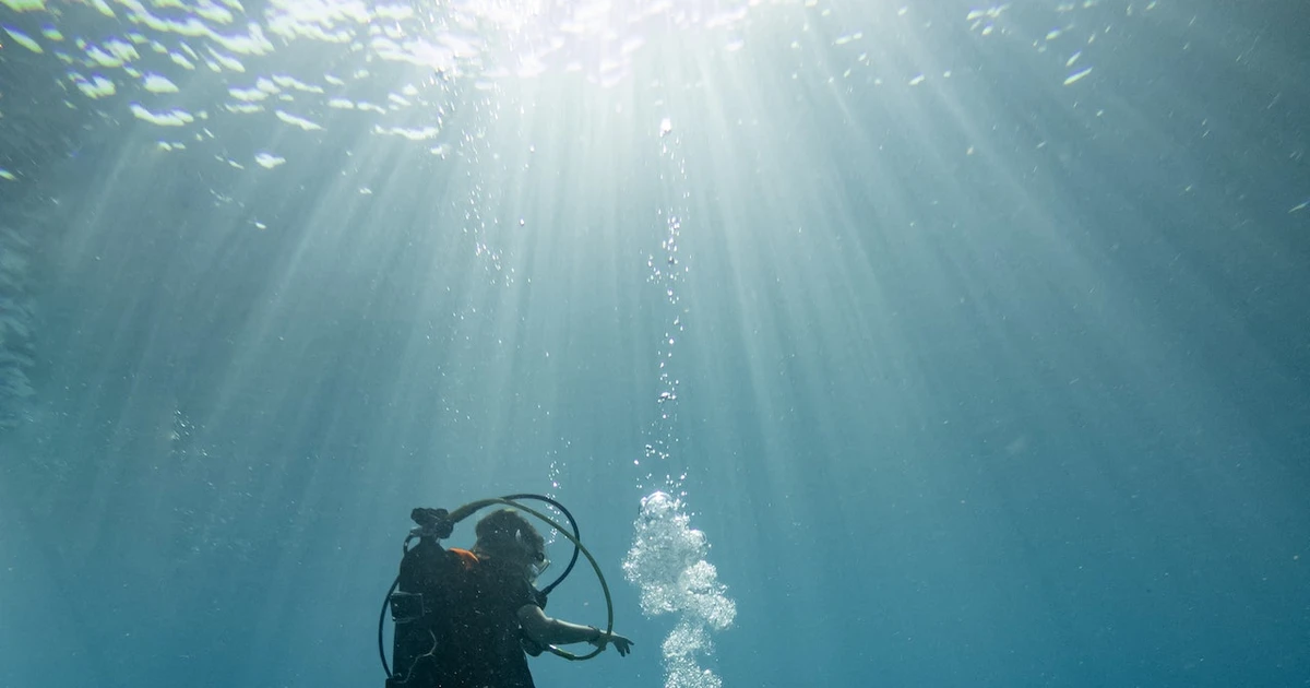 Scuba Diving Panama - Explore The Underwater Beauty