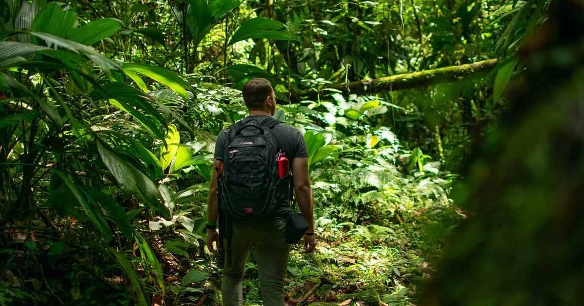 Ecotourism In The Amazon Rainforest - Discovering The World's Most ...