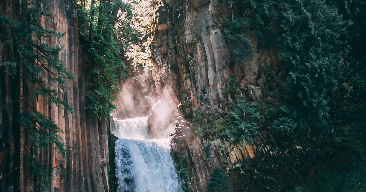 Eco-tourism In Borneo's Rainforest - A Guide To Responsible Travel