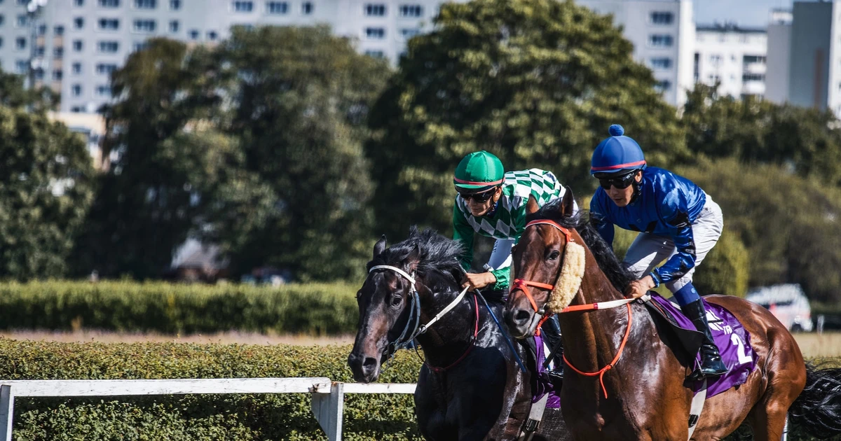 What Is A Place Bet? How It Works