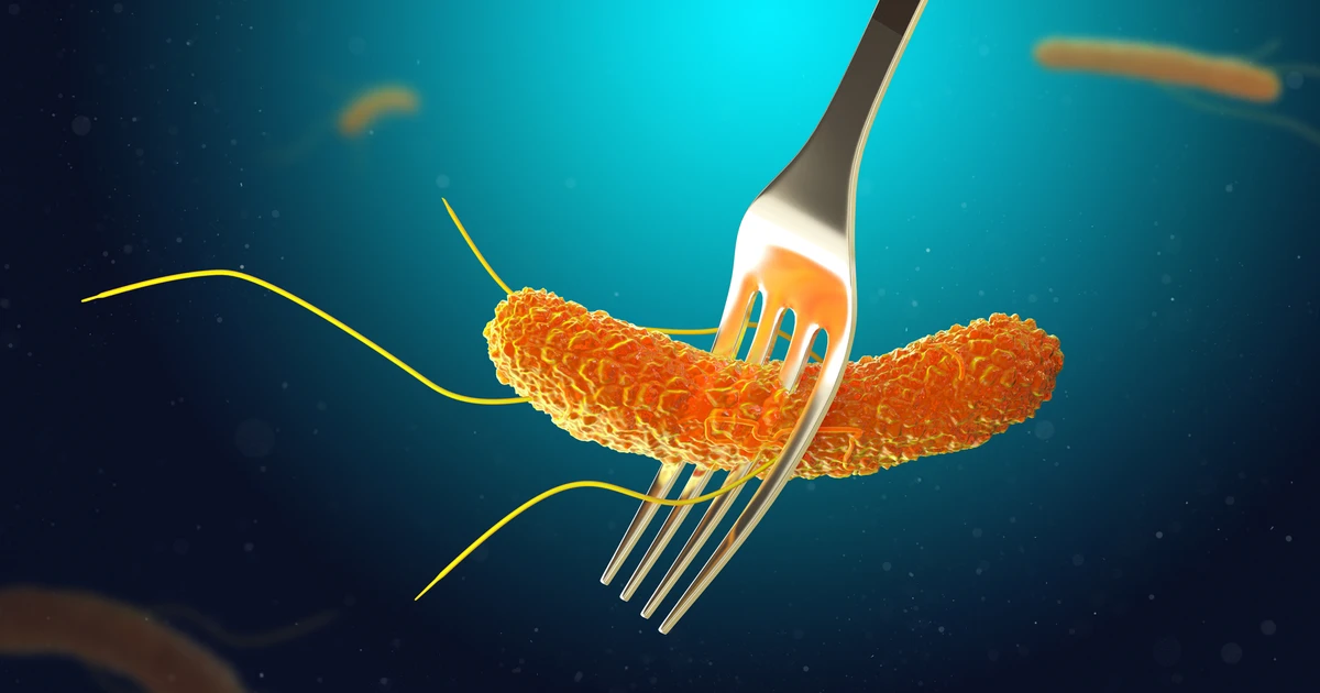 Escherichia Coli - Effects And Advances On Recombinant Protein Expression