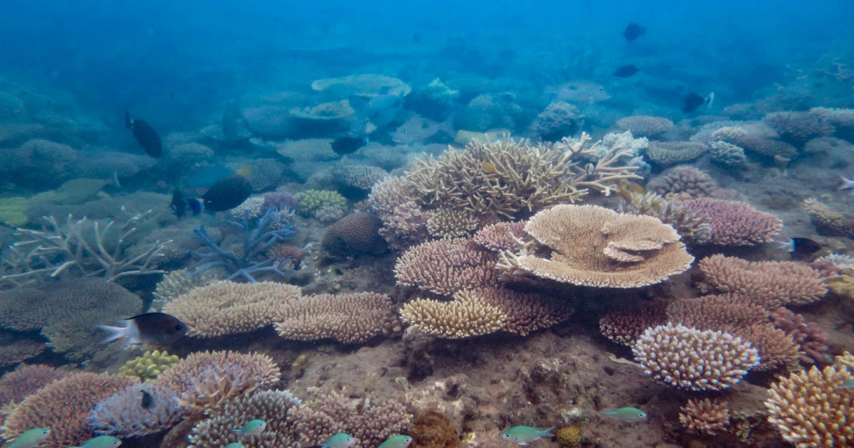 Study Reveals Groundwater's Significance As A Pollution Source For The ...