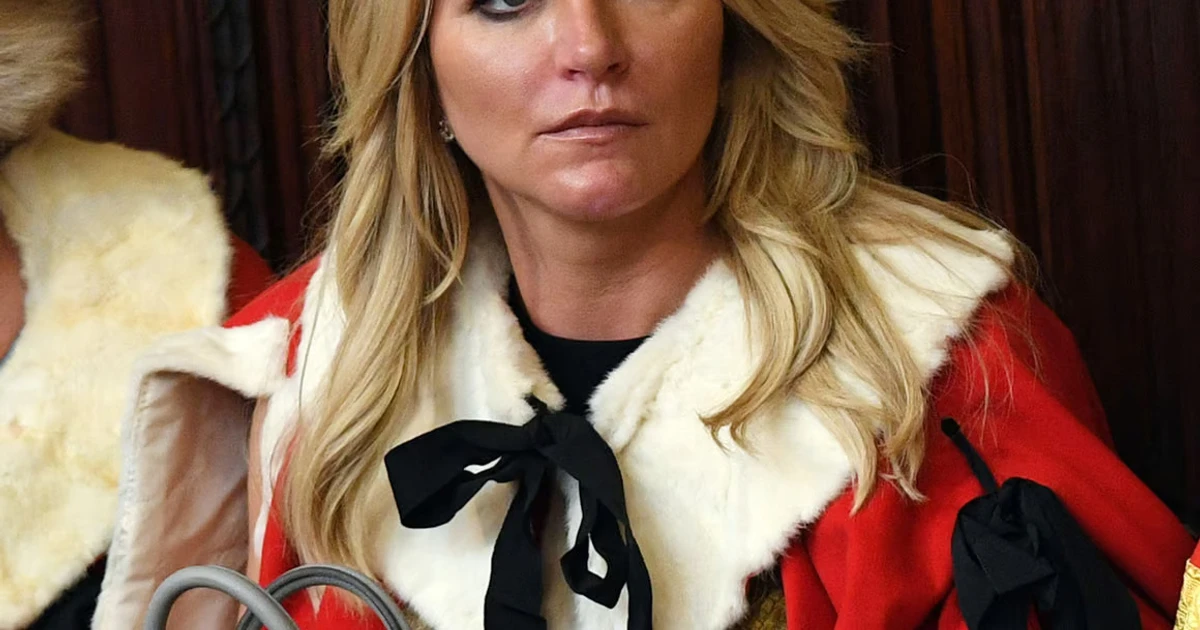 Former Tory Peer's Husband Admits Profiting Millions From COVID-Era ...