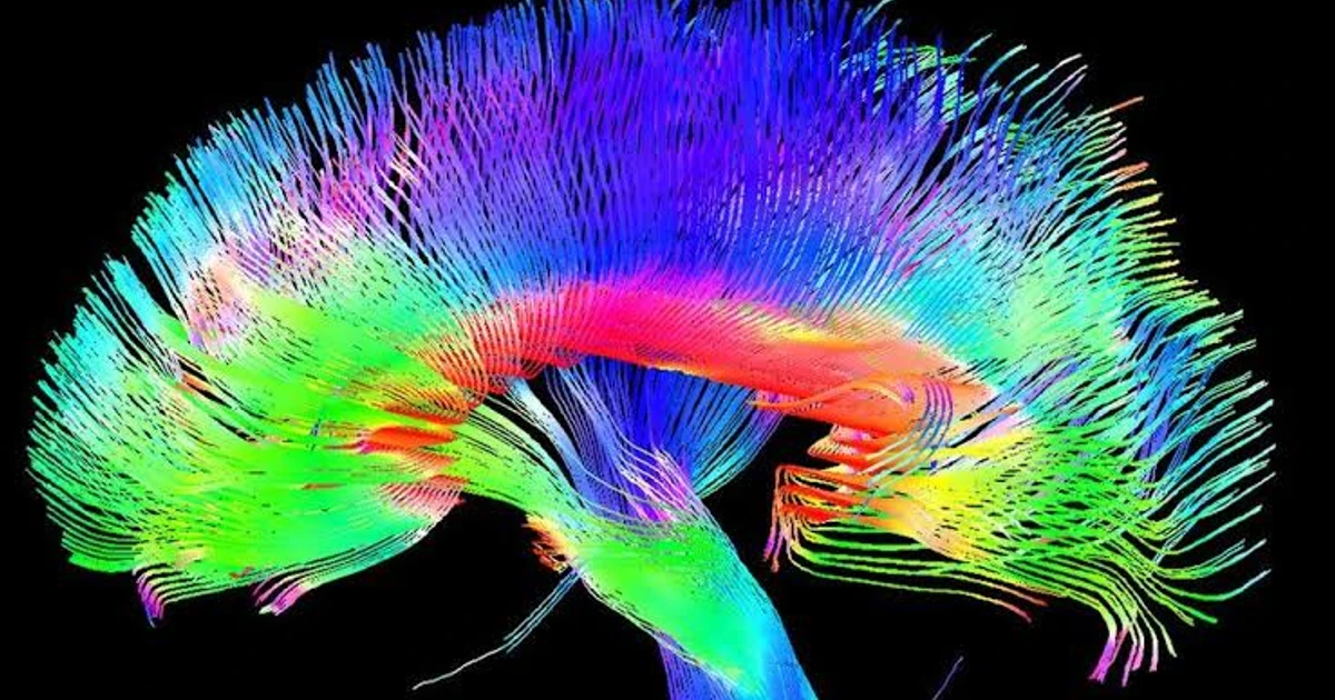 Brain Scientist And Philosopher Settle 25-Year Wager On Consciousness