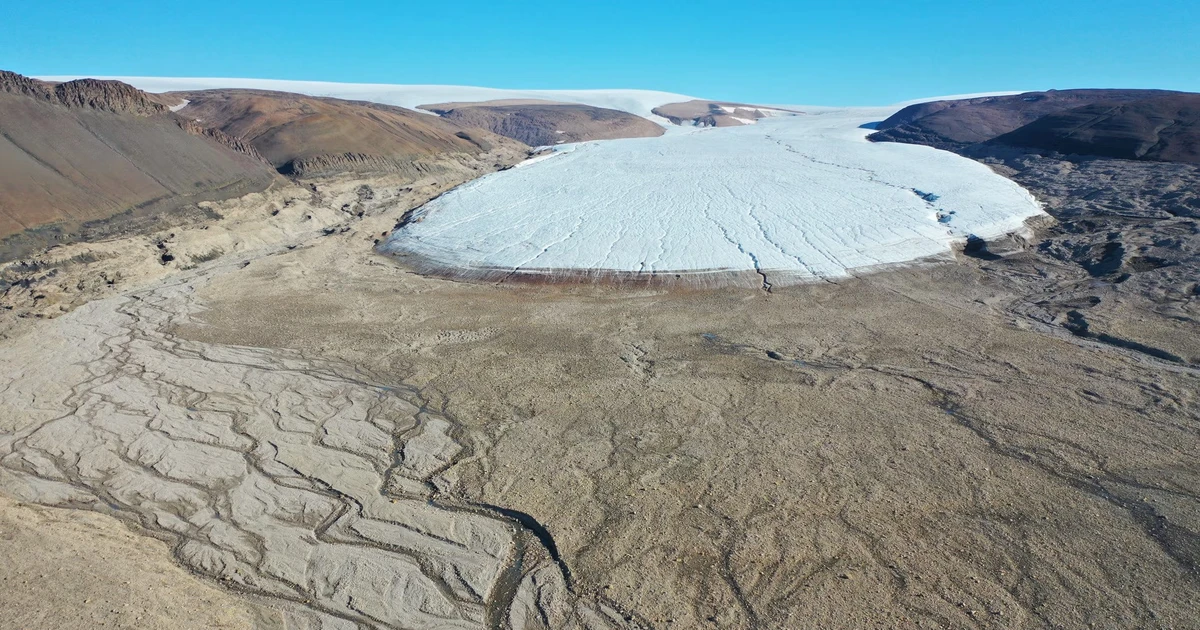 Climate Experts Express Concern About Flourishing Plant Life On ...