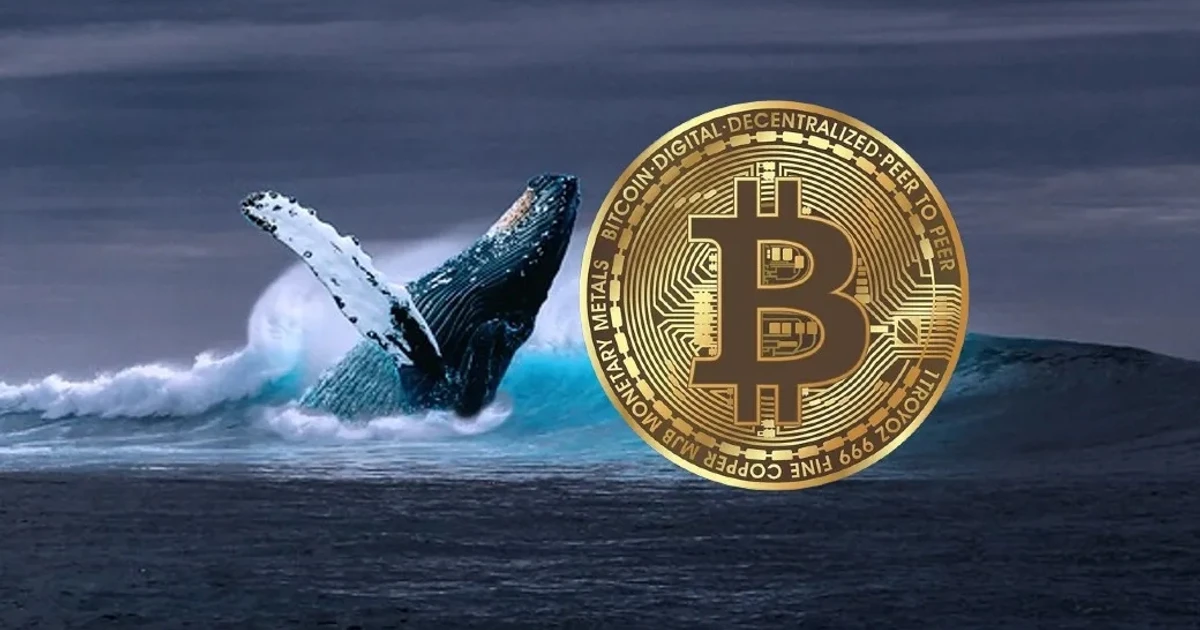 Bitcoin Whales - Understanding Their Impact On The Cryptocurrency Market